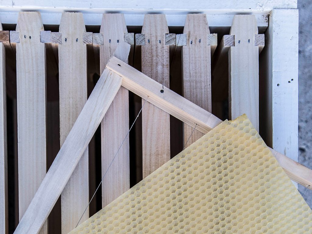 Wellbees - New Horizons